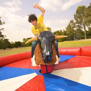 Mechanical Bull Ride Manufacturers, Suppliers & Wholesalers In Delhi ...